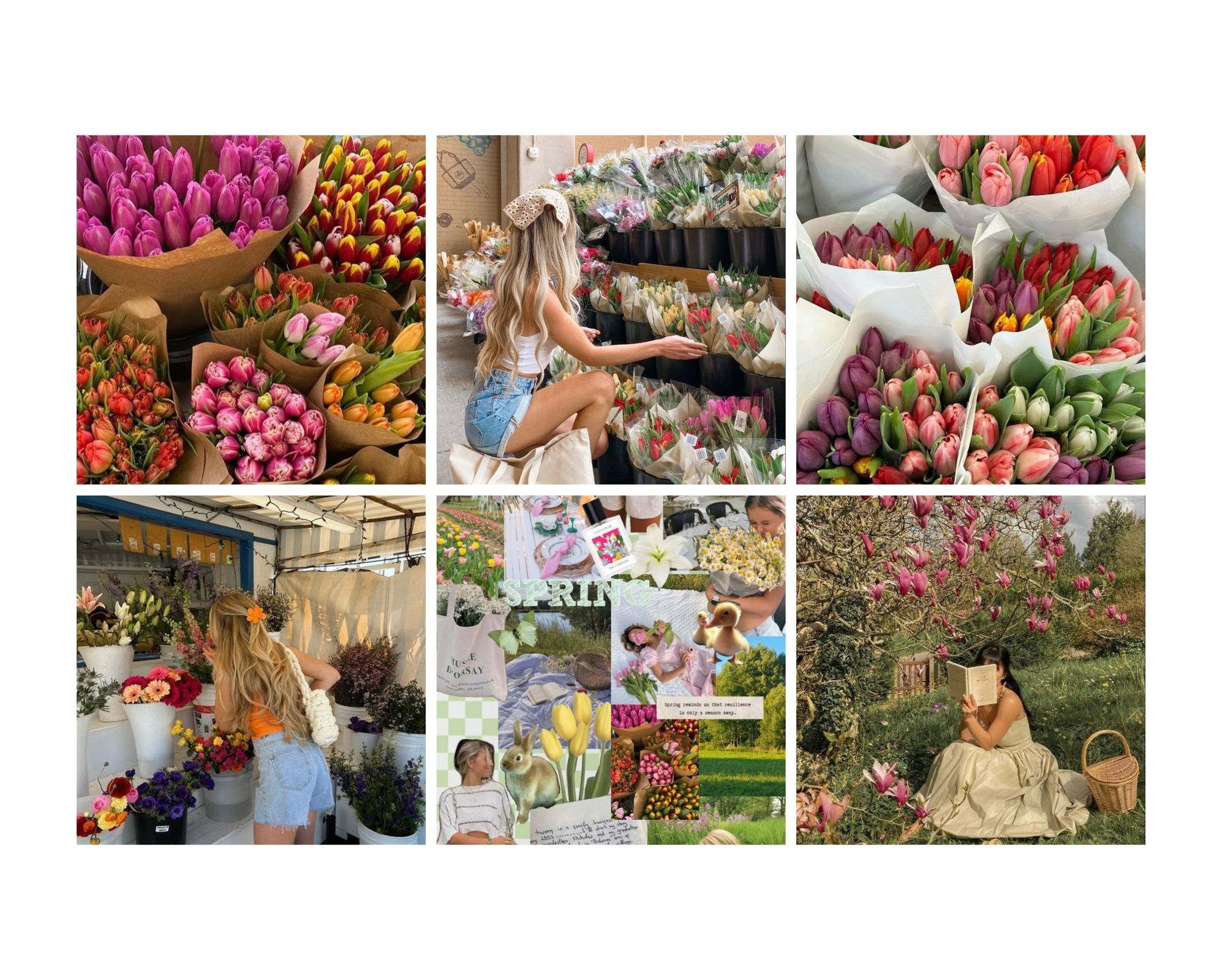 Spring Playlist: Top 6 Songs That Will Set the Mood