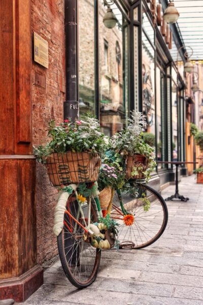 Transform Your Ordinary Outing into an Aesthetic Bike Ride